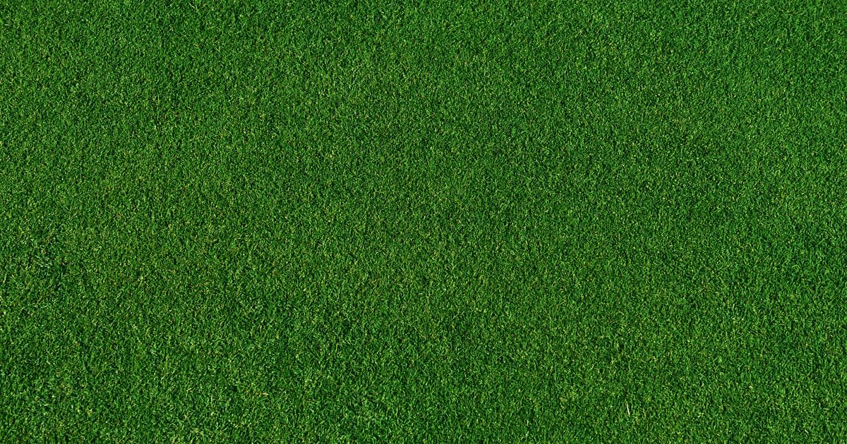 Bermudagrass Care Guide The Andersons Home And Garden