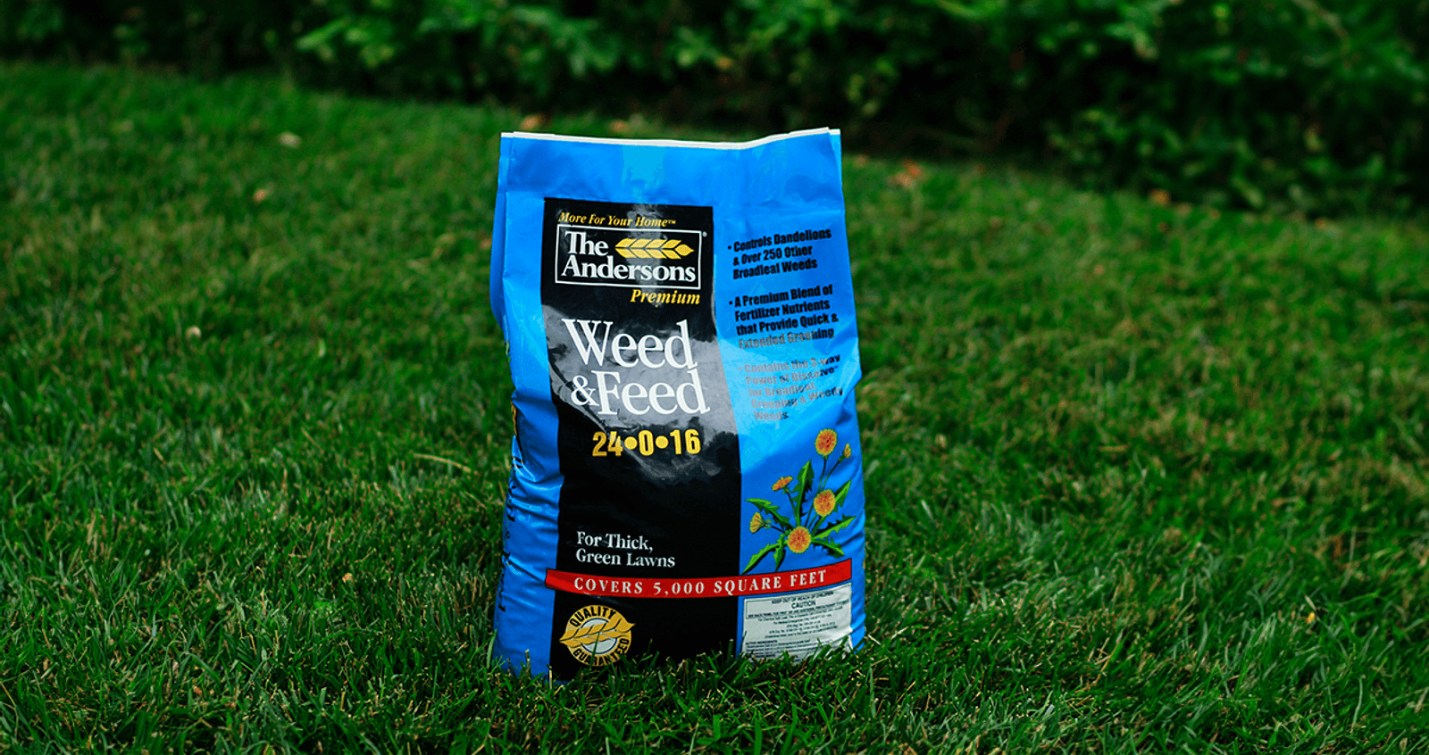 Weed and Feed 24 0 16 Post Emergent Fertilizer The Andersons Home and Garden